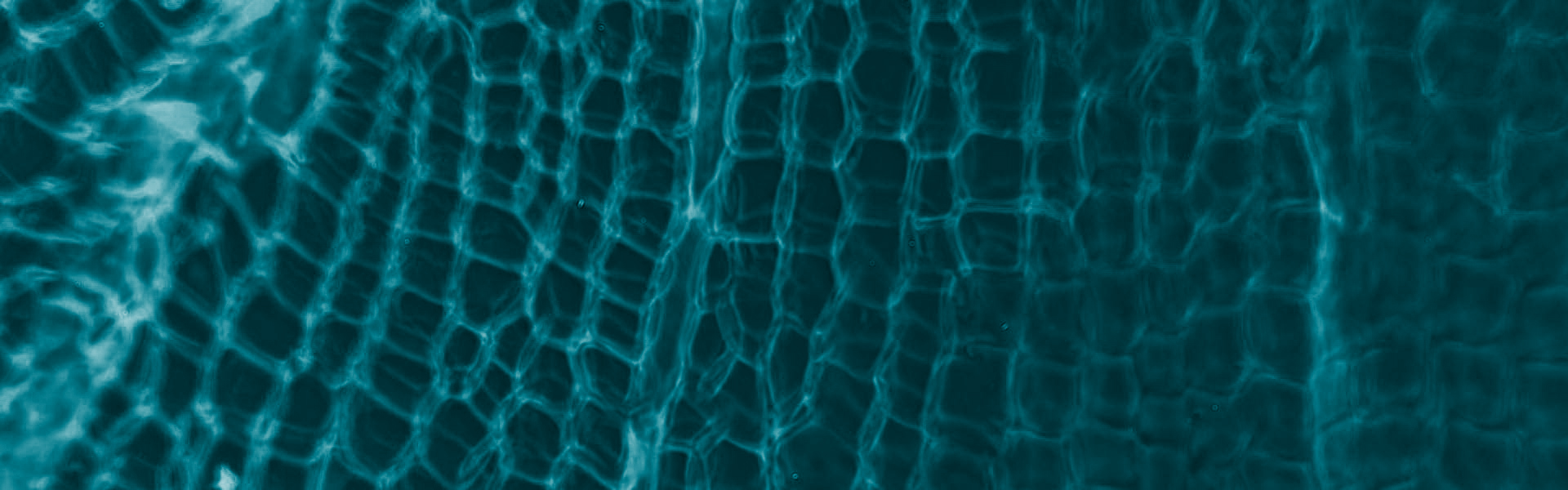 Matrix OI® FlexIt - Tissue Regenix Group