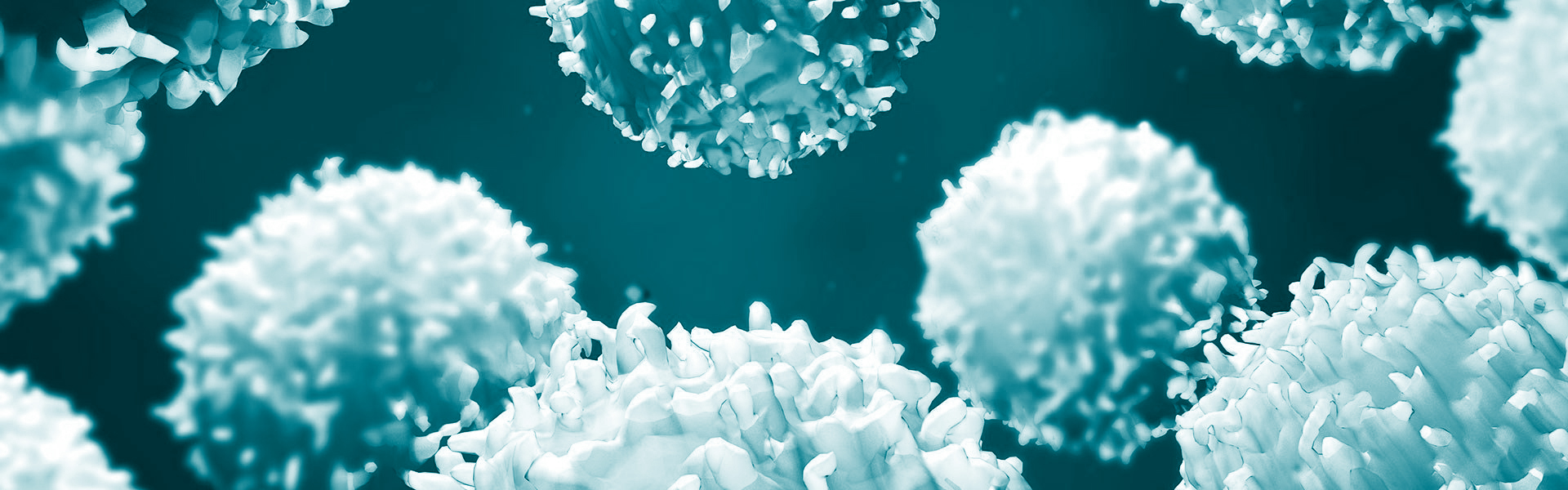 Resources - Tissue Regenix Group